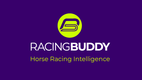 Racing Buddy